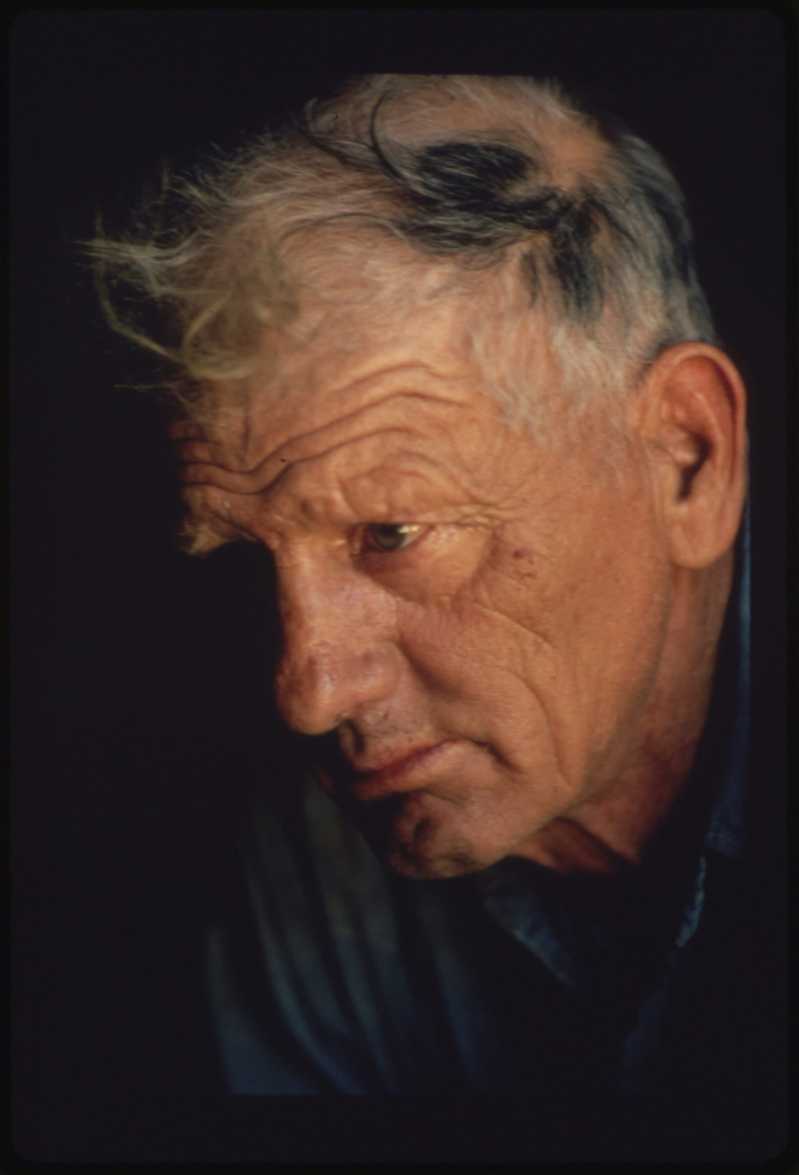 La magie de la collaboration – clara-jane rioux fiset